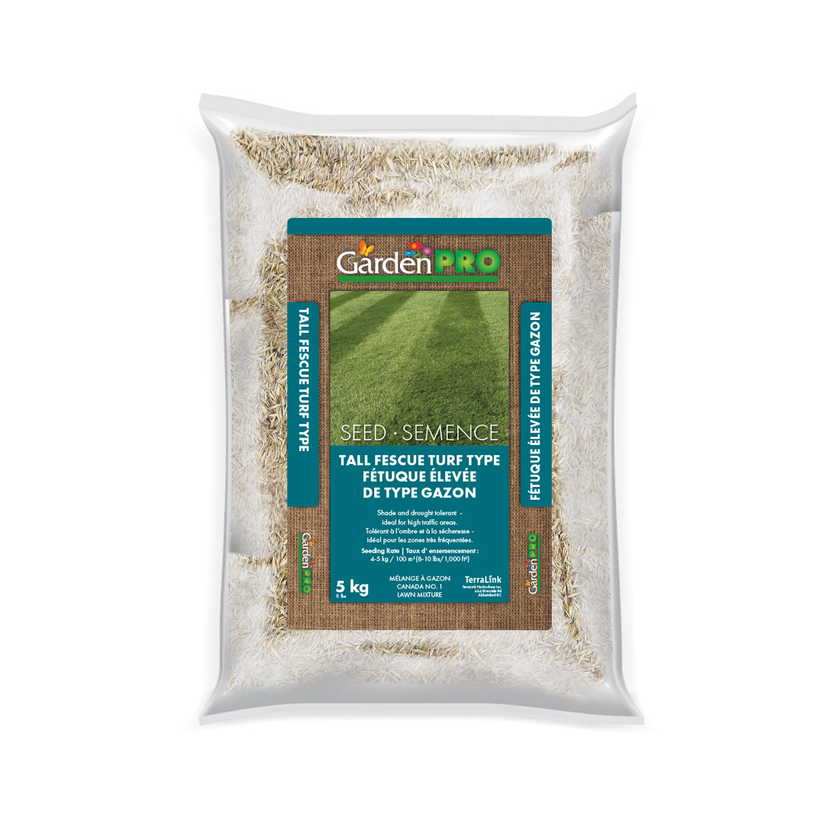 Turf-Type Tall Fescue – TerraLink