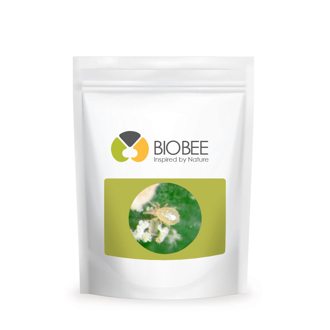 Bio Cucumeris – TerraLink