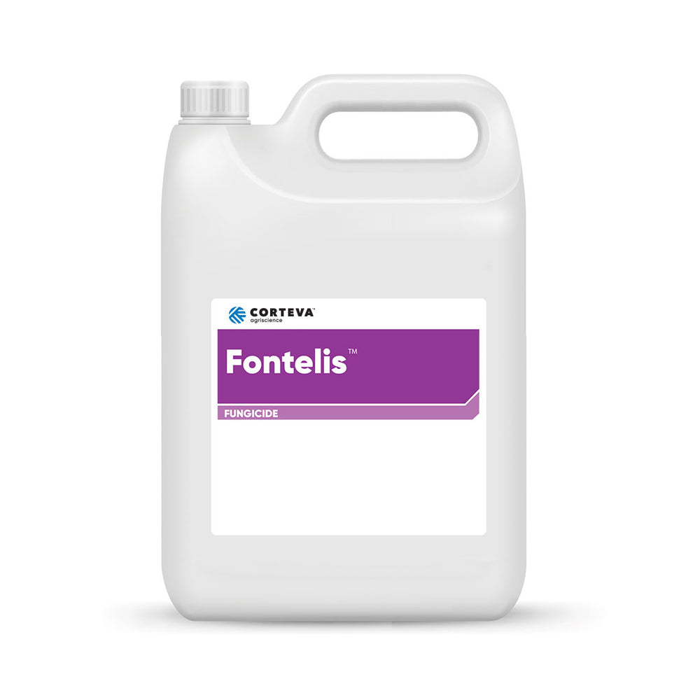 Fontelis – TerraLink